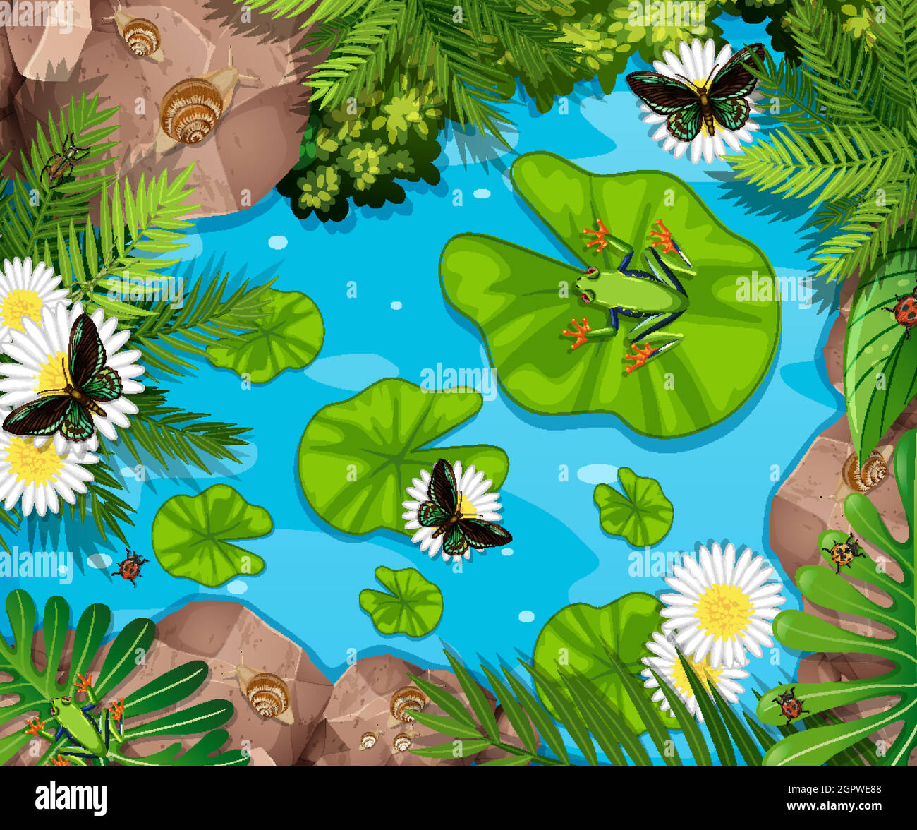 Aerial scene with frogs and lotus leaves in the pond Stock Vector Image ...