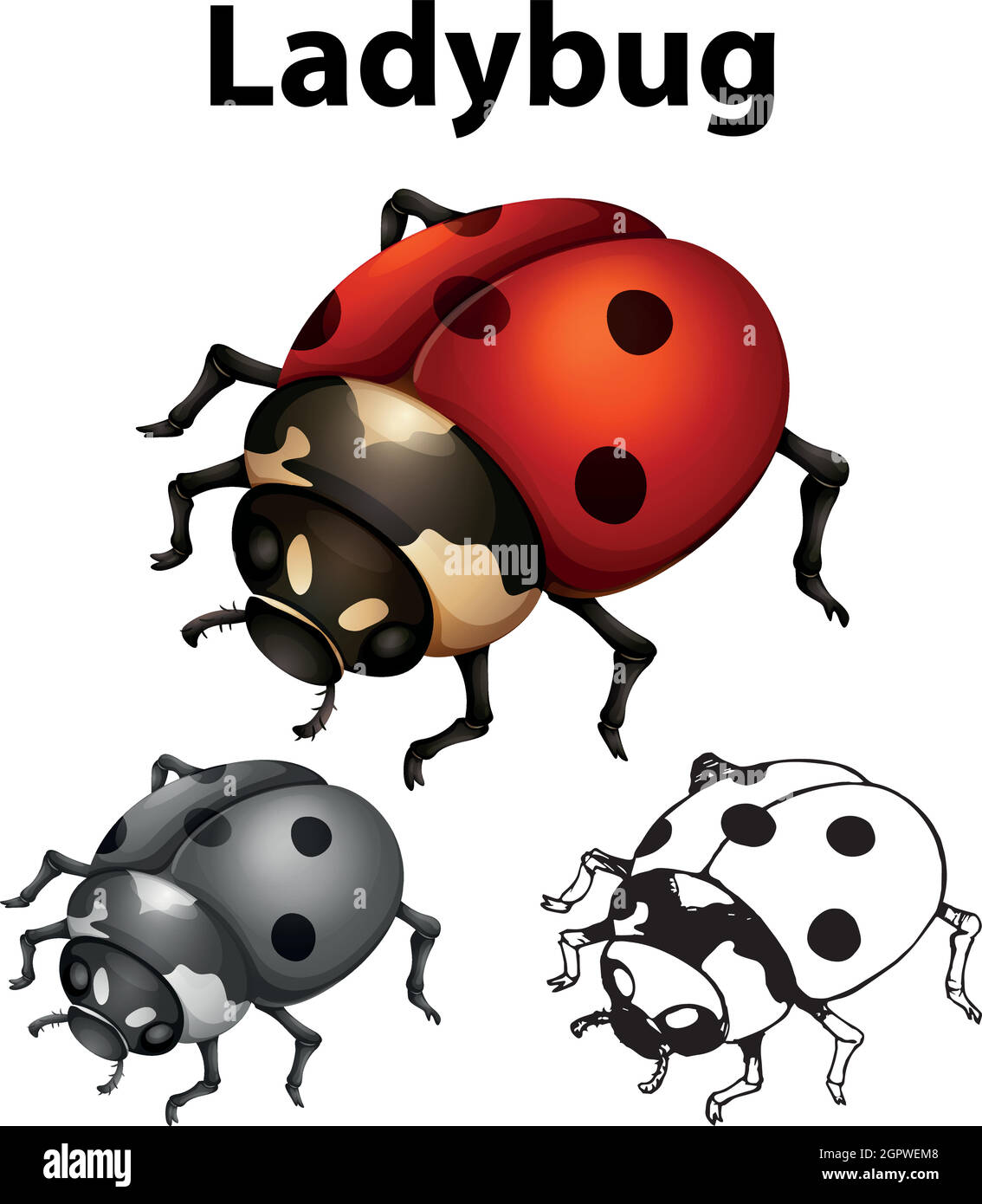 Animal sketches hi-res stock photography and images - Alamy