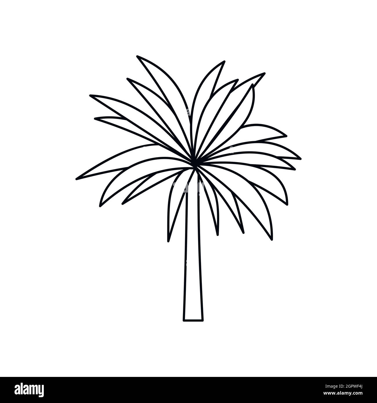 Outline palm tree sand beach hi-res stock photography and images - Alamy