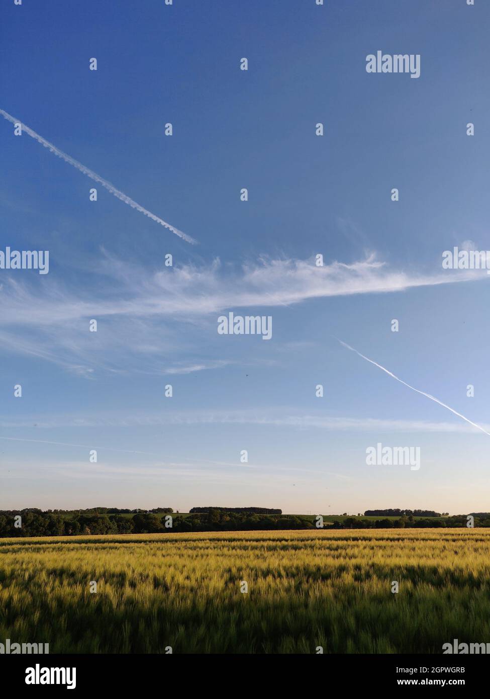Airplane crossing cloud hi-res stock photography and images - Alamy