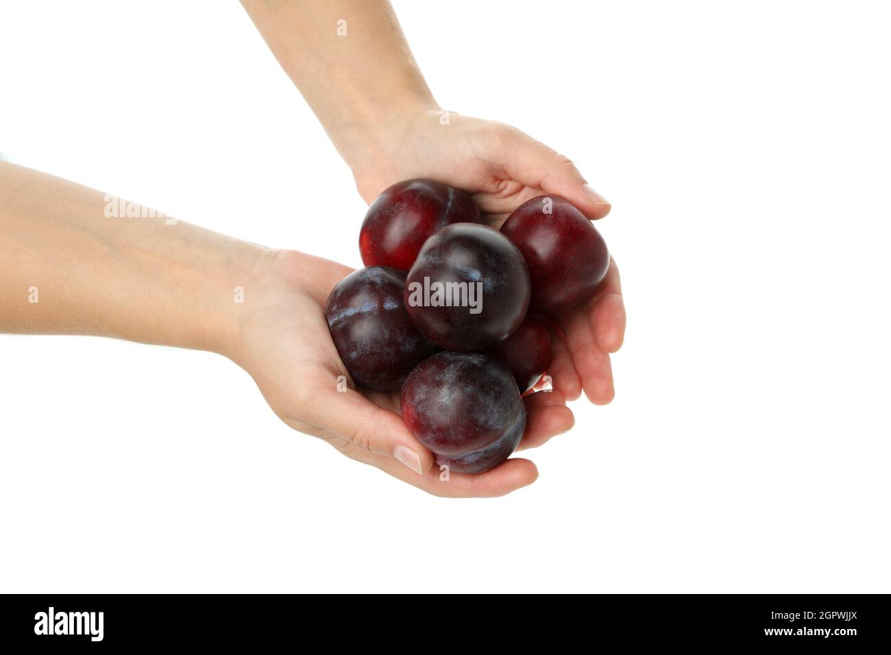 A handful of plums in female hands, isolated on white background Stock ...