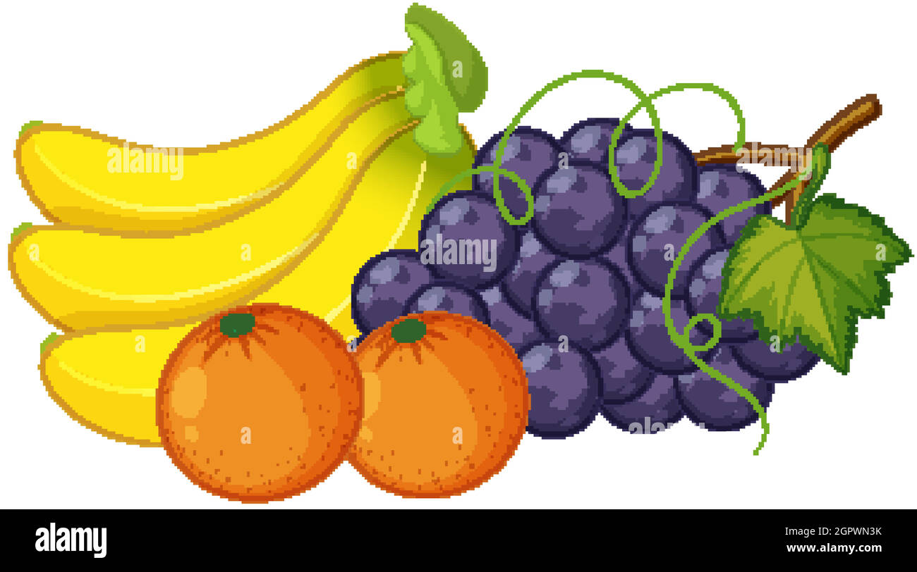 Group of fruits isolated on white background Stock Vector Image & Art ...