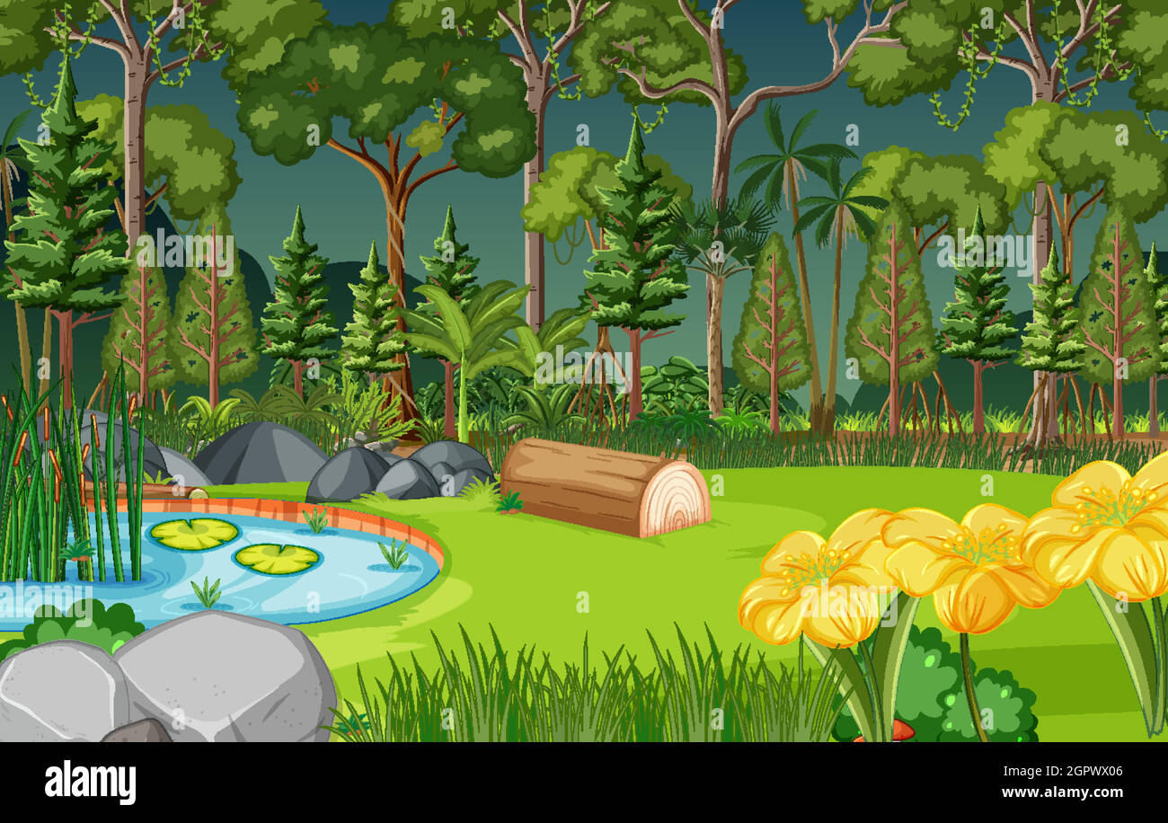 Forest scene with pond and many trees Stock Vector Image & Art - Alamy