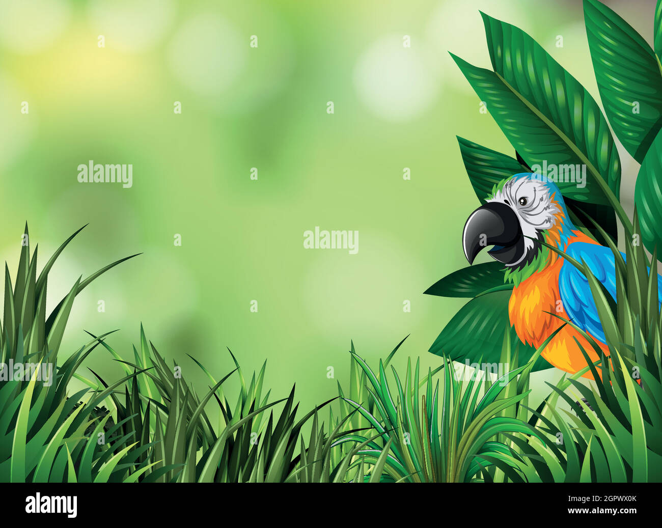 Nature green leaves on Stock Vector Images - Alamy