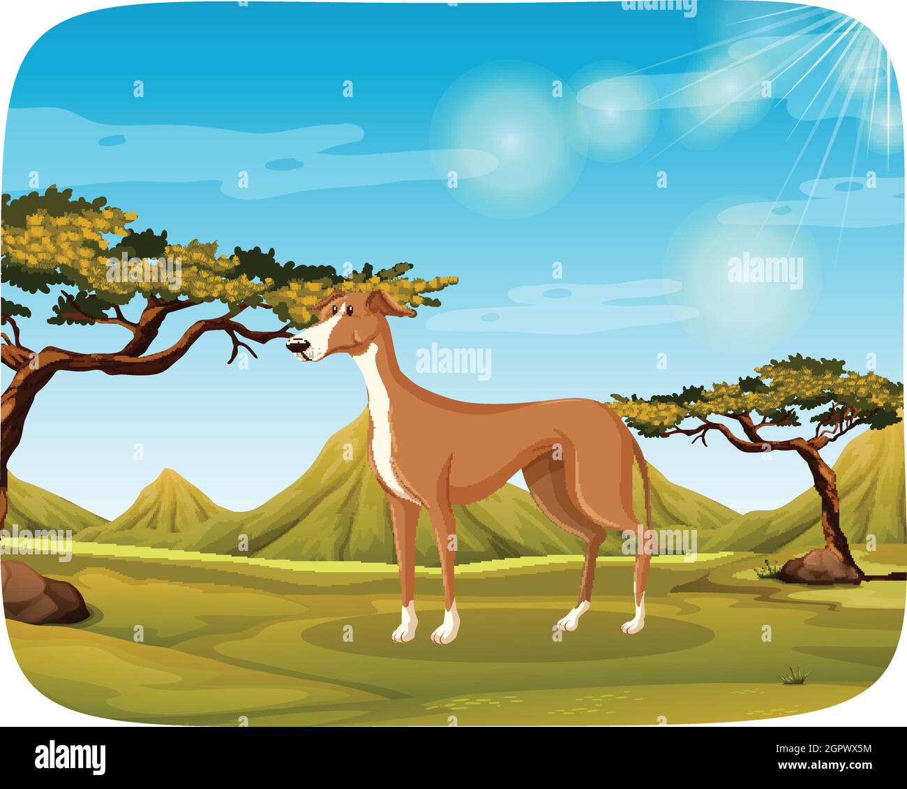 Pet in a tree Stock Vector Images - Alamy