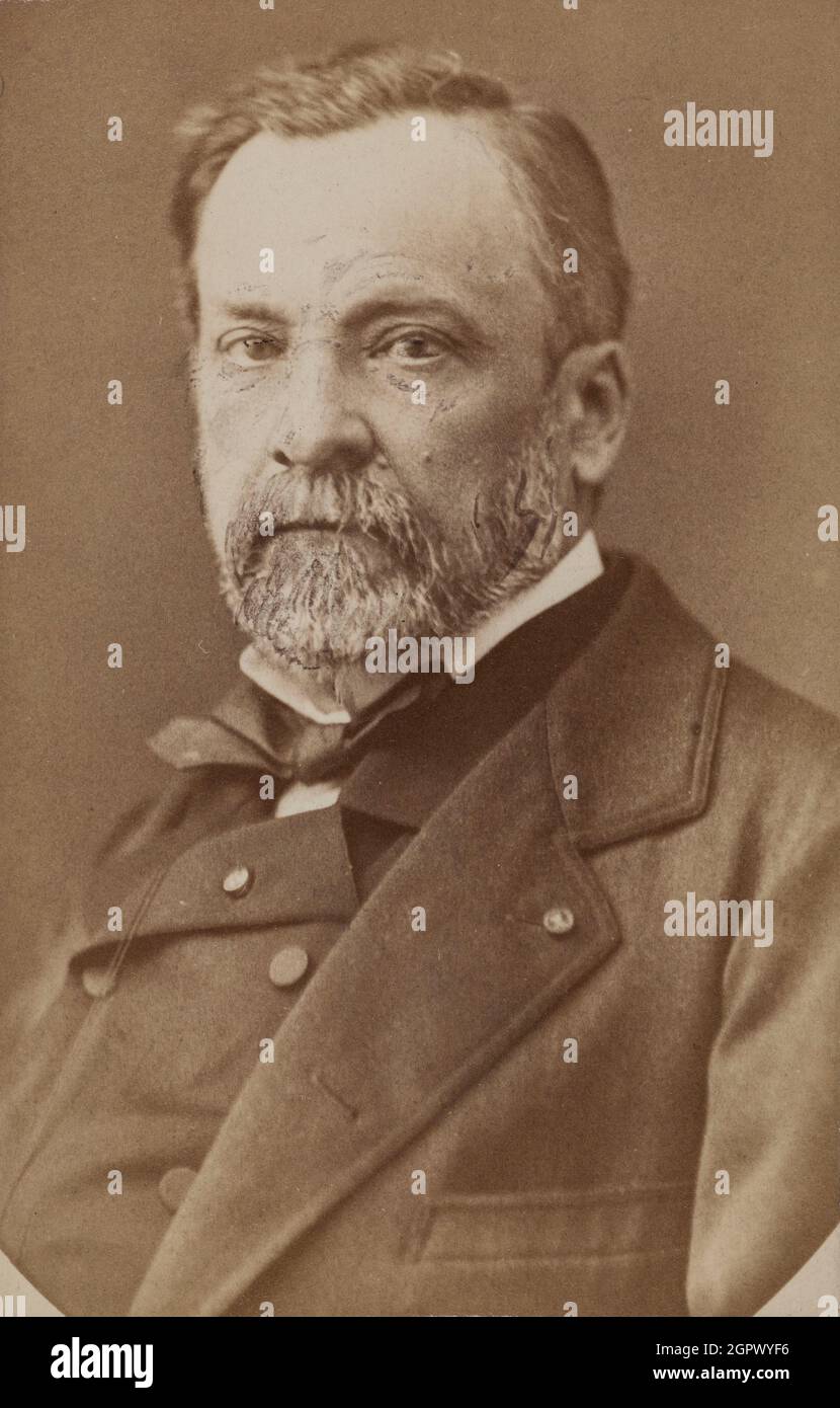 Portrait of Louis Pasteur (1822-1895), c. 1870. Private Collection ...