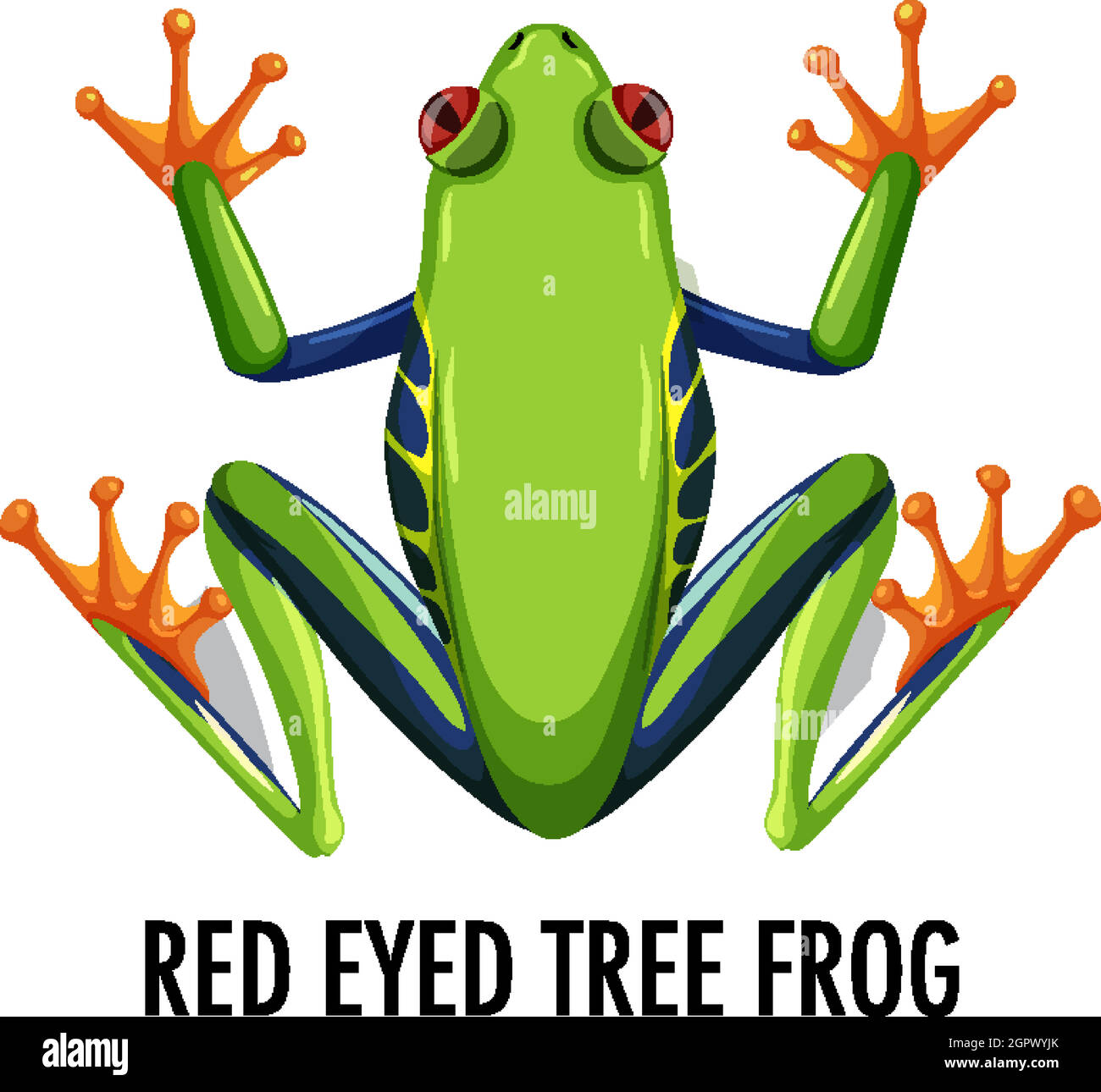 Clip Art Tree Frog