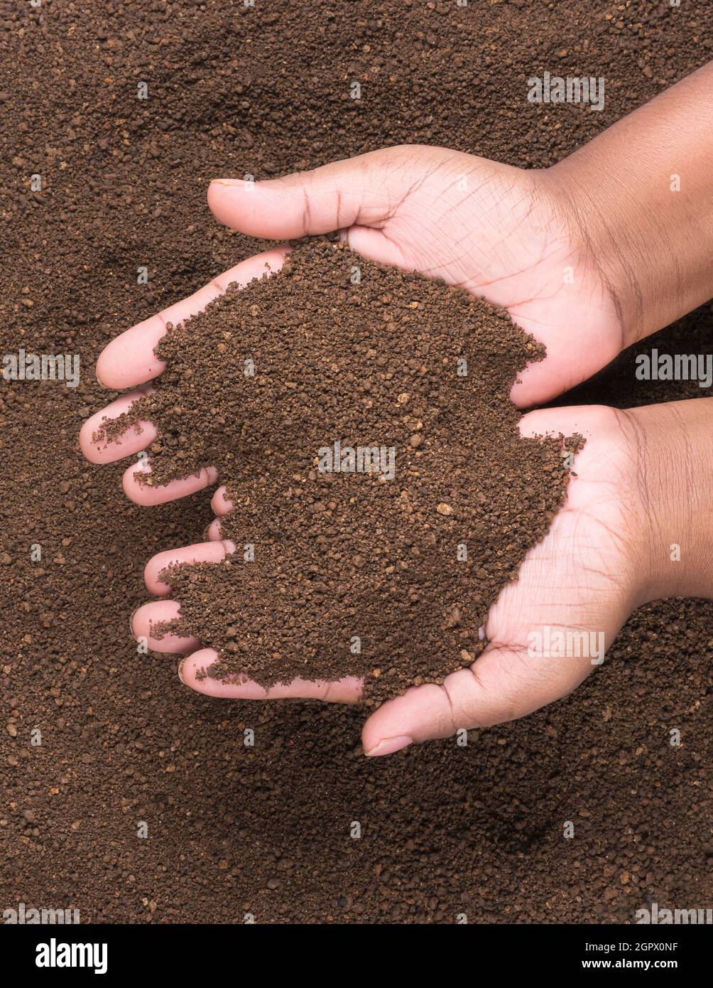 Light Brown Soil