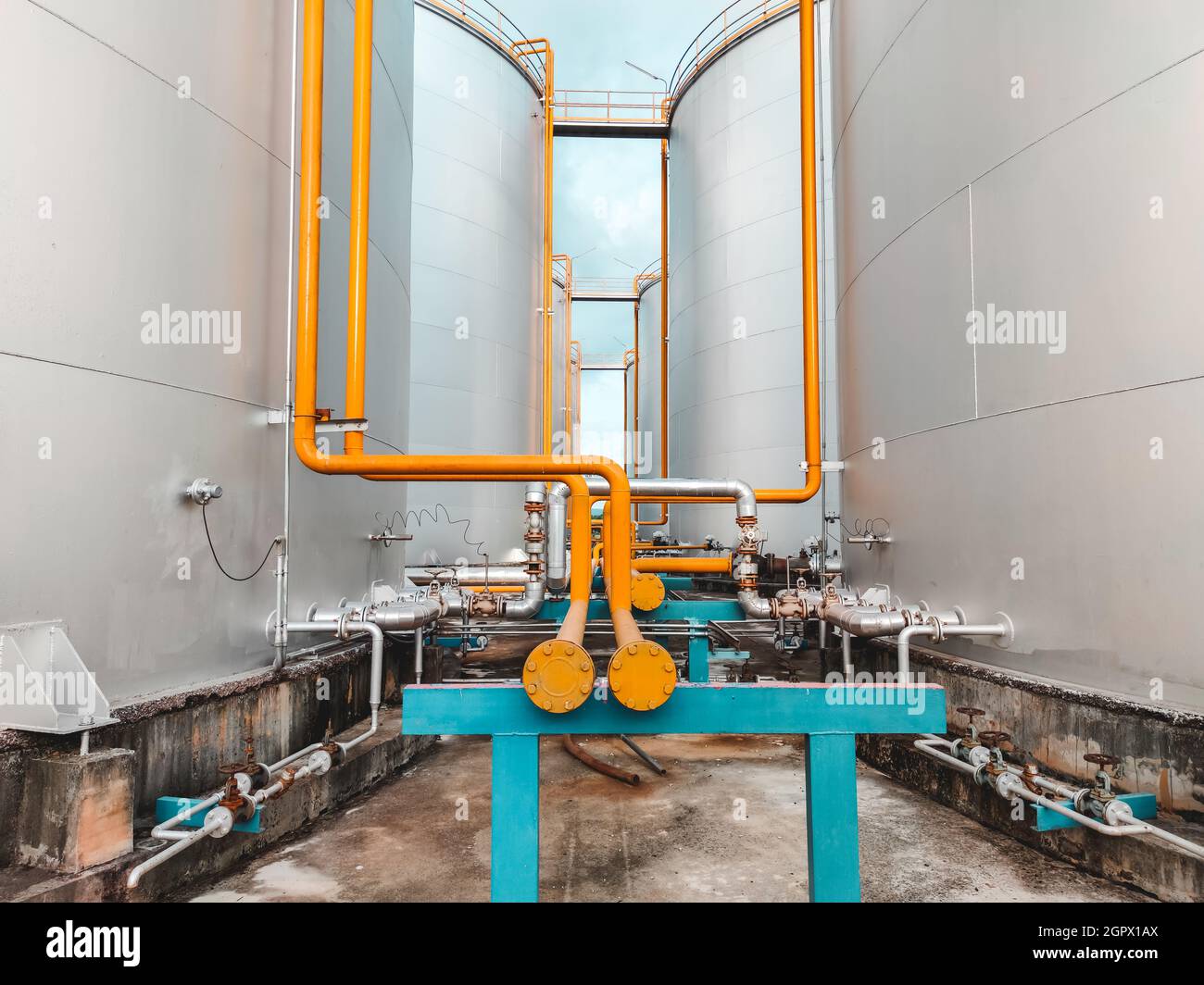 Occupational ban hi-res stock photography and images - Alamy