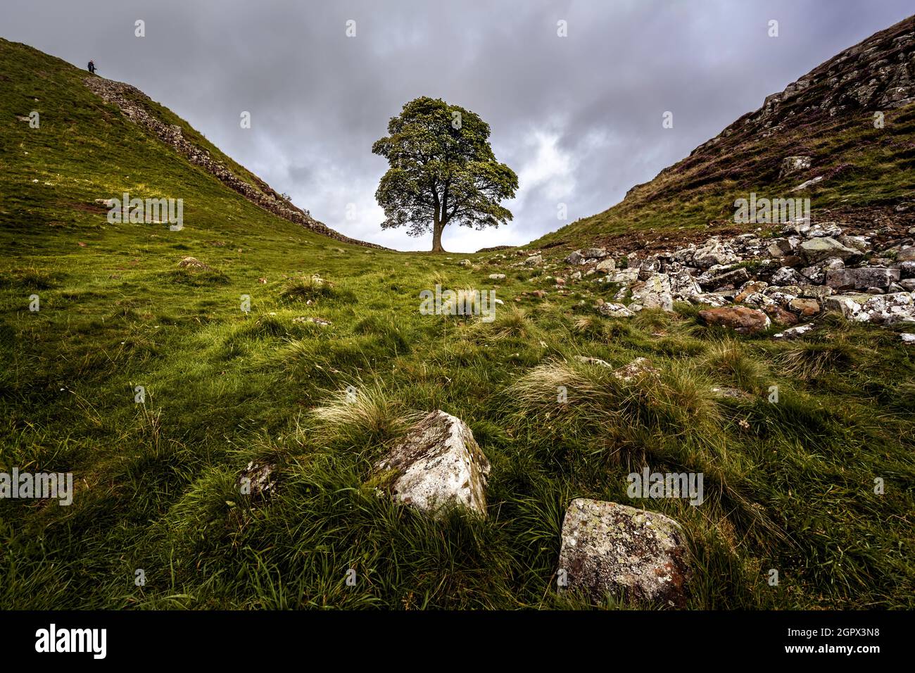 Sycamore gap and people hi-res stock photography and images - Alamy