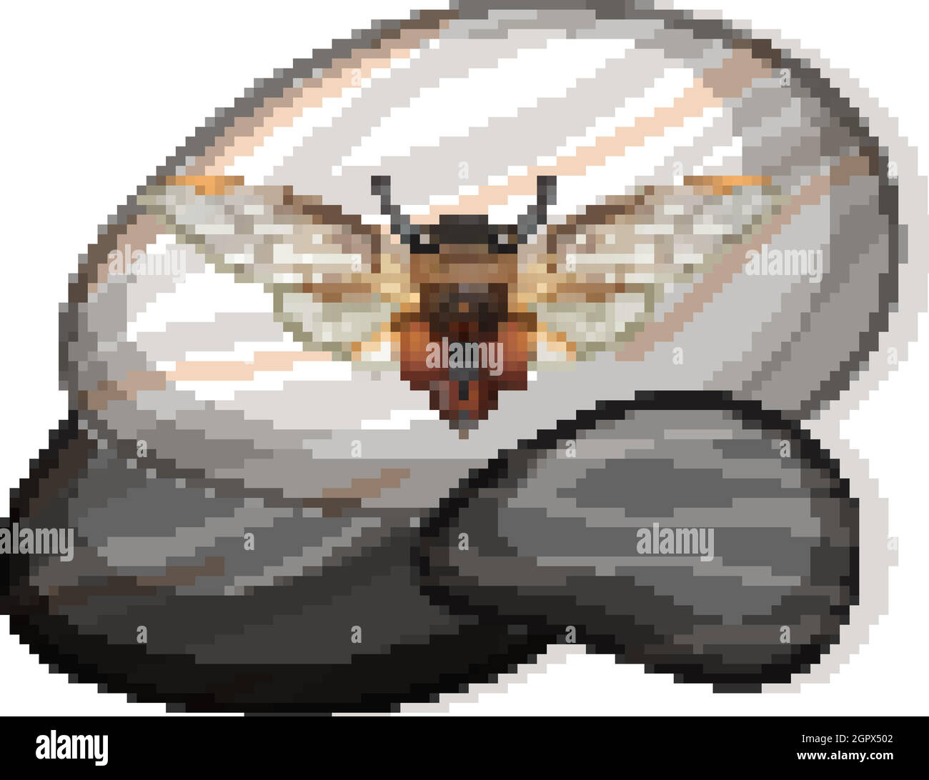 Cicada illustration hi-res stock photography and images - Alamy