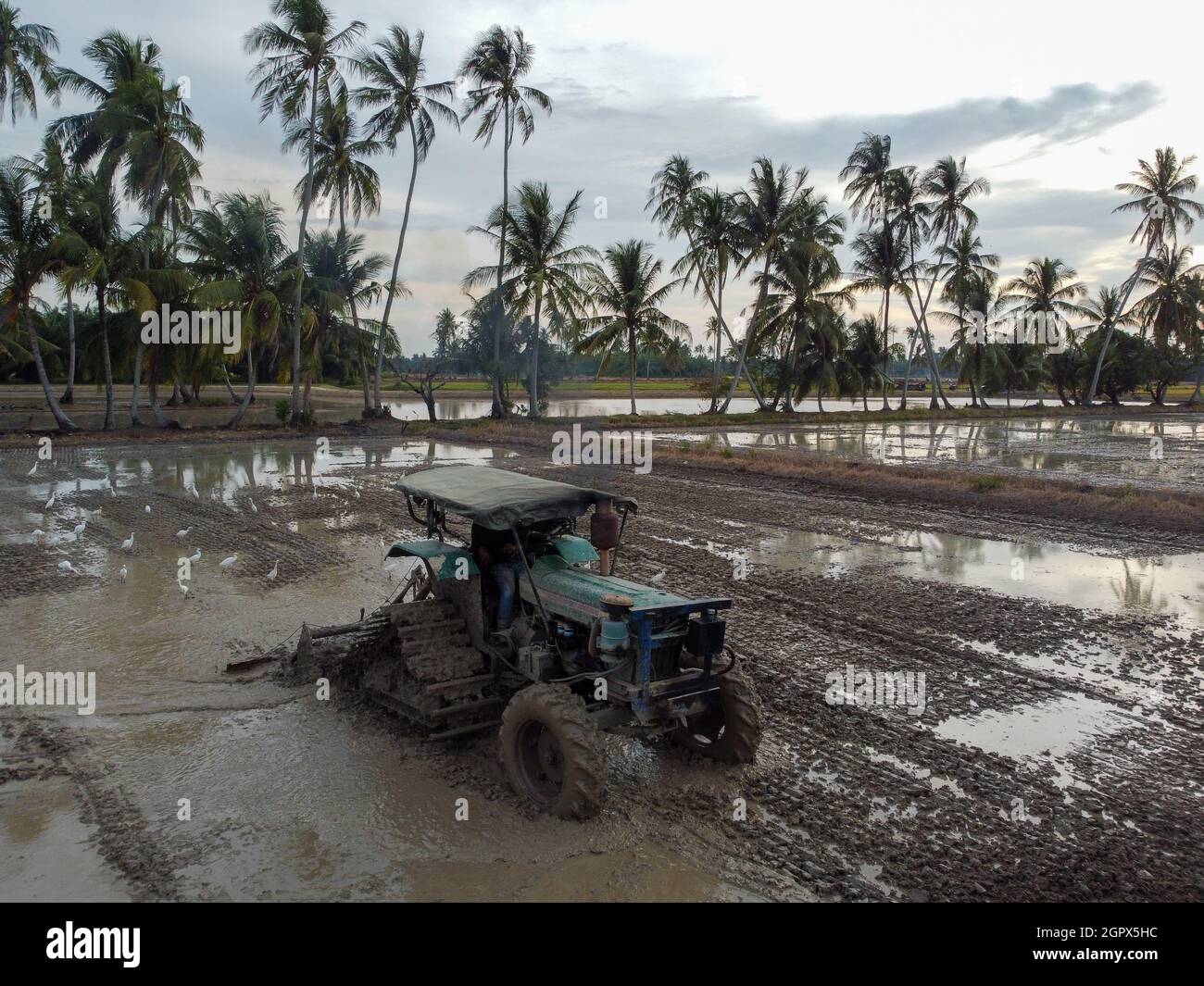 Tractor plowing the paddy field. Malaysia Stock Photo - Alamy