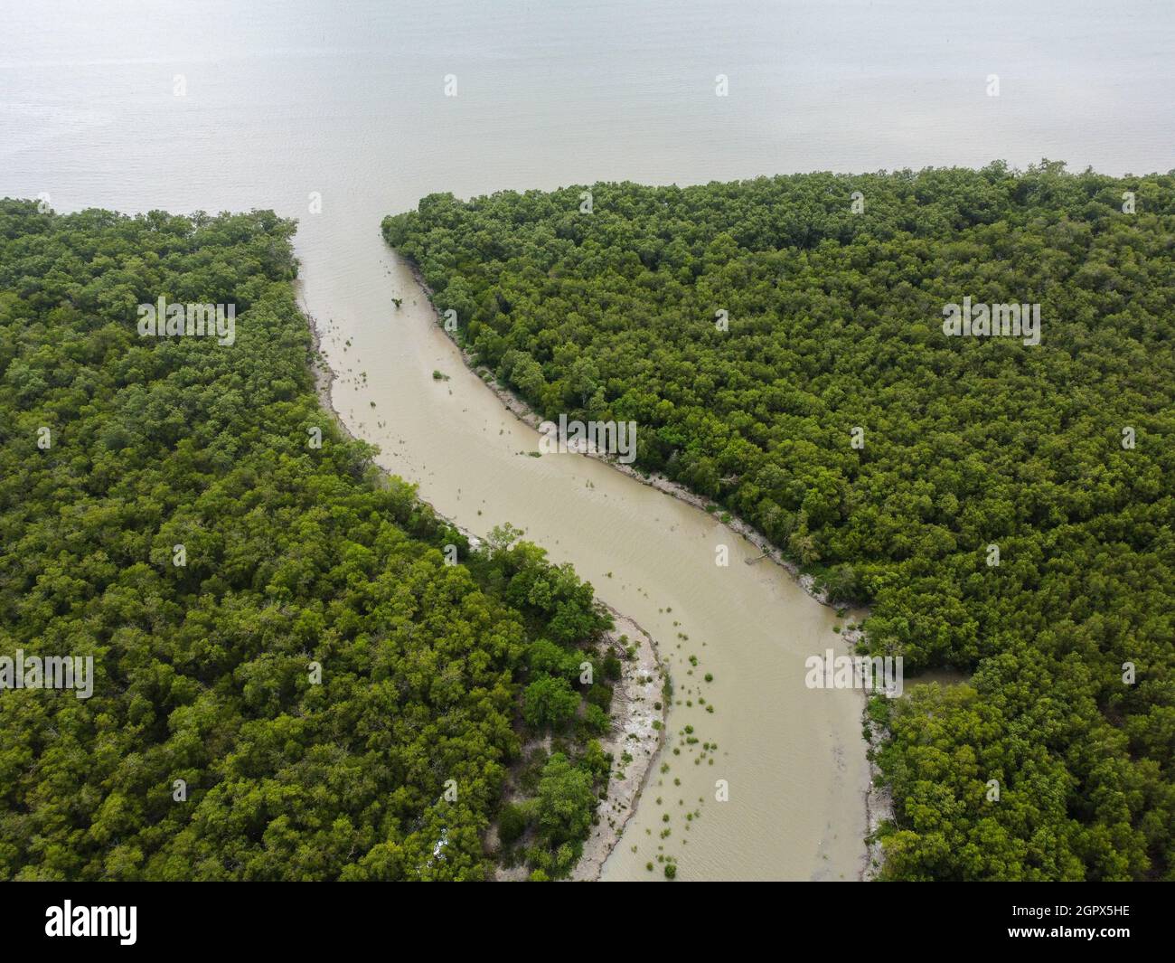 Aerial view of the river pouring into the sea surrounded by mangrove ...