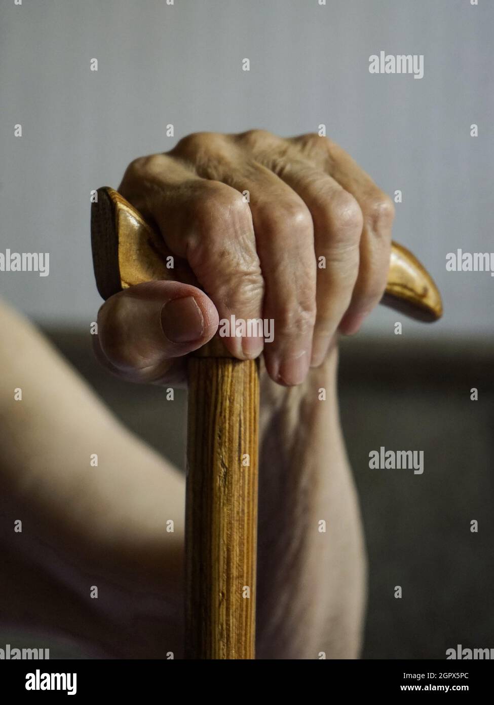 Walking stick handle hi-res stock photography and images - Alamy