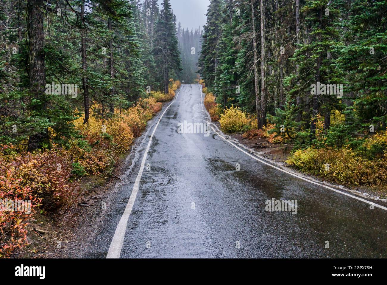 Rainy Road In Autumn High Resolution Stock Photography and Images - Alamy
