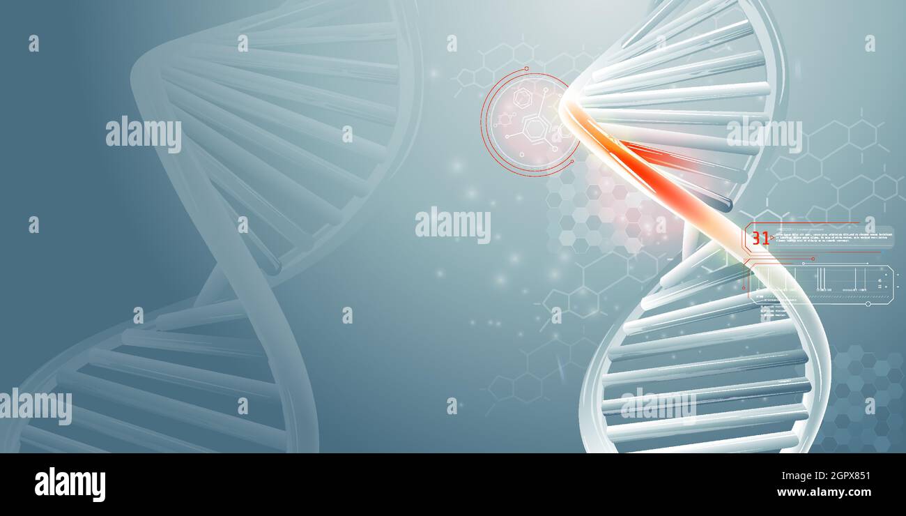 DNA double helix strands and scientific data infographics Stock Vector ...