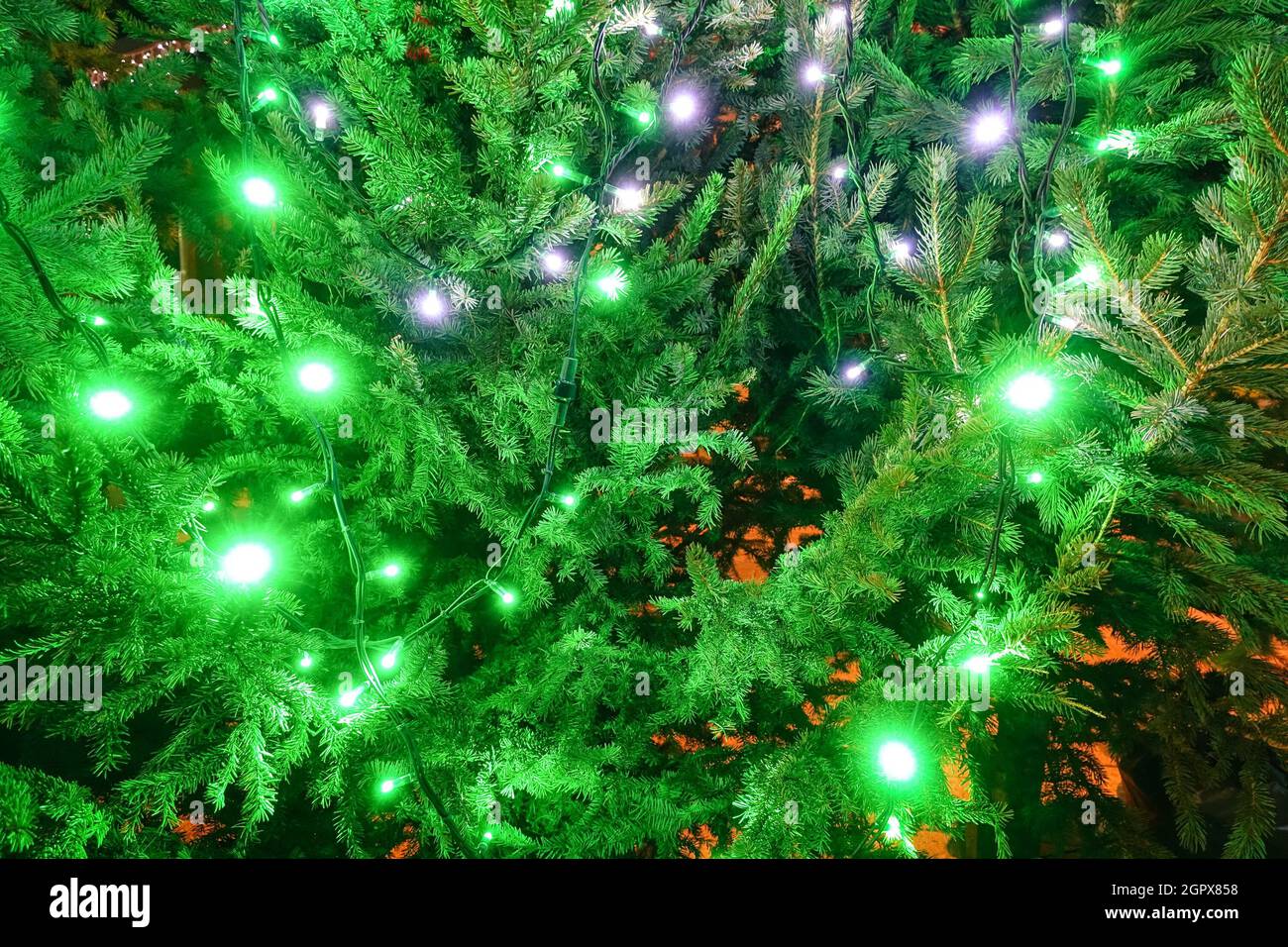 Green background of Christmas tree decorations with colorful lights ...