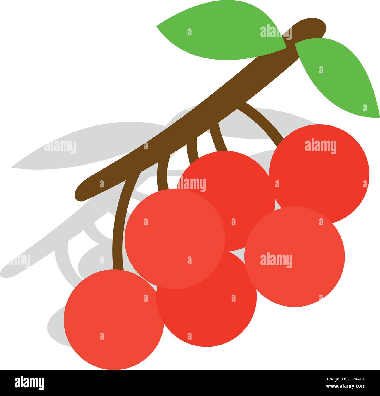 Rowan tree branch red Stock Vector Images - Alamy