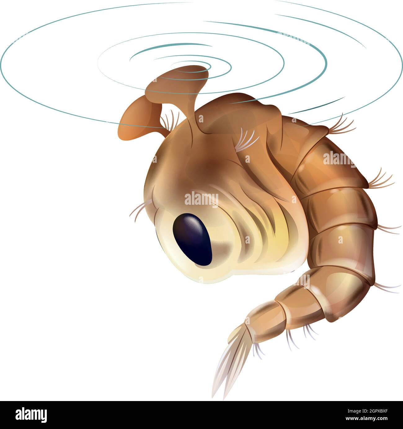 River stage Cut Out Stock Images & Pictures - Alamy