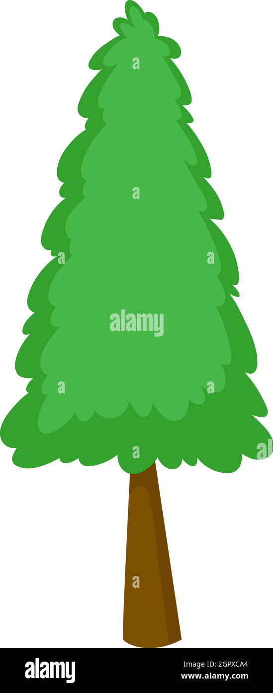 Leaves pine tree on Stock Vector Images - Alamy
