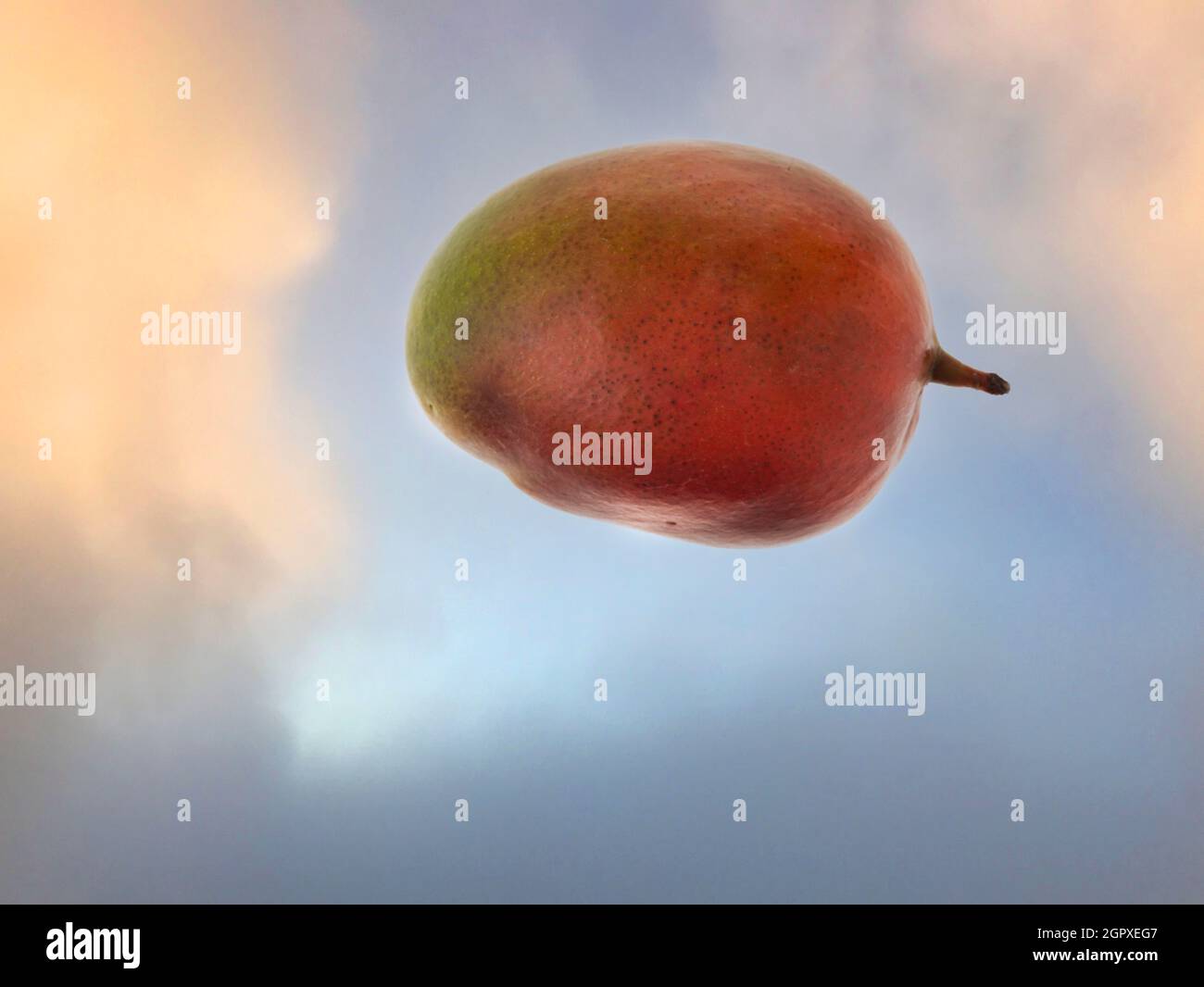 Healthy sweet Mango fruit still life Stock Photo - Alamy