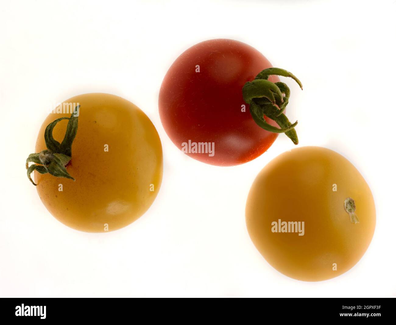 Bite sized tomato on white background, high resolution food ingredient ...