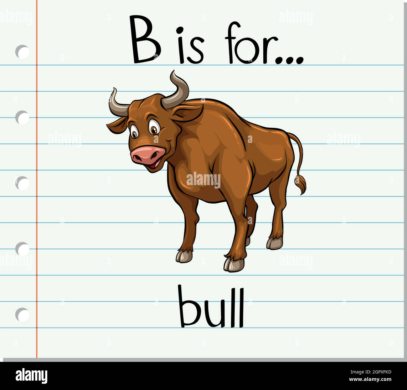 Flashcard letter B is for bull Stock Vector Image & Art - Alamy