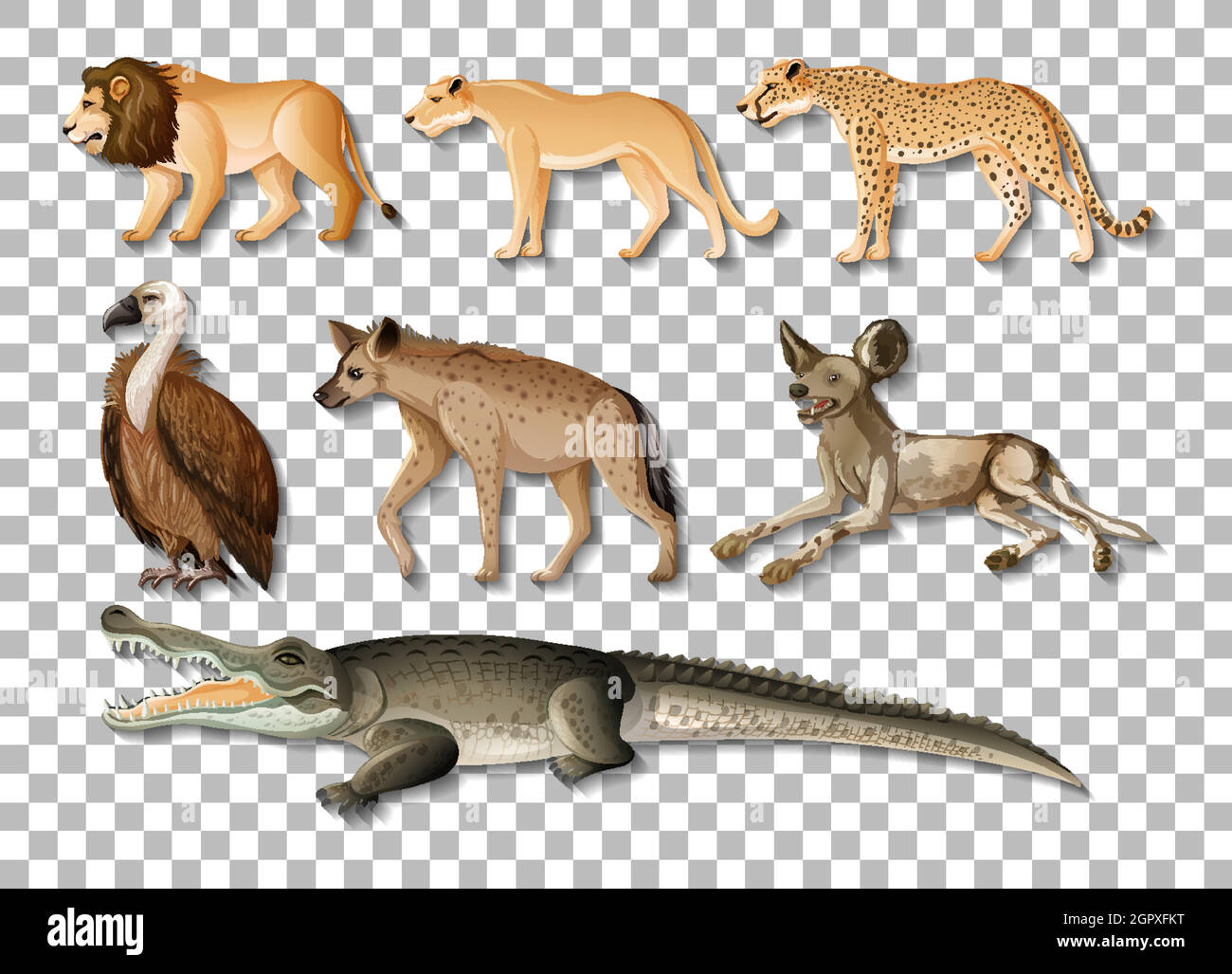 Set of isolated Wild African Animals on transparent background Stock ...