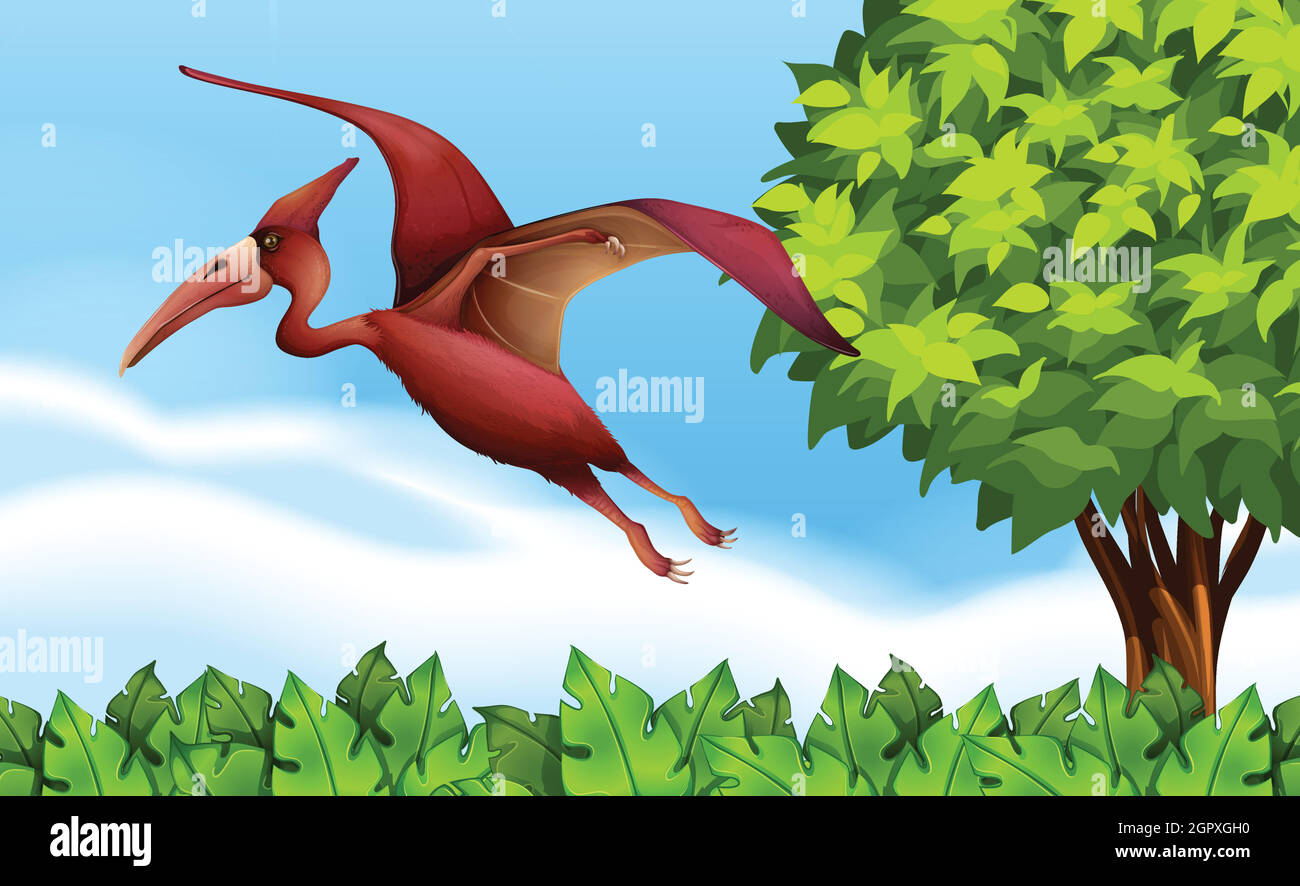 Heavy beaks Stock Vector Images - Alamy