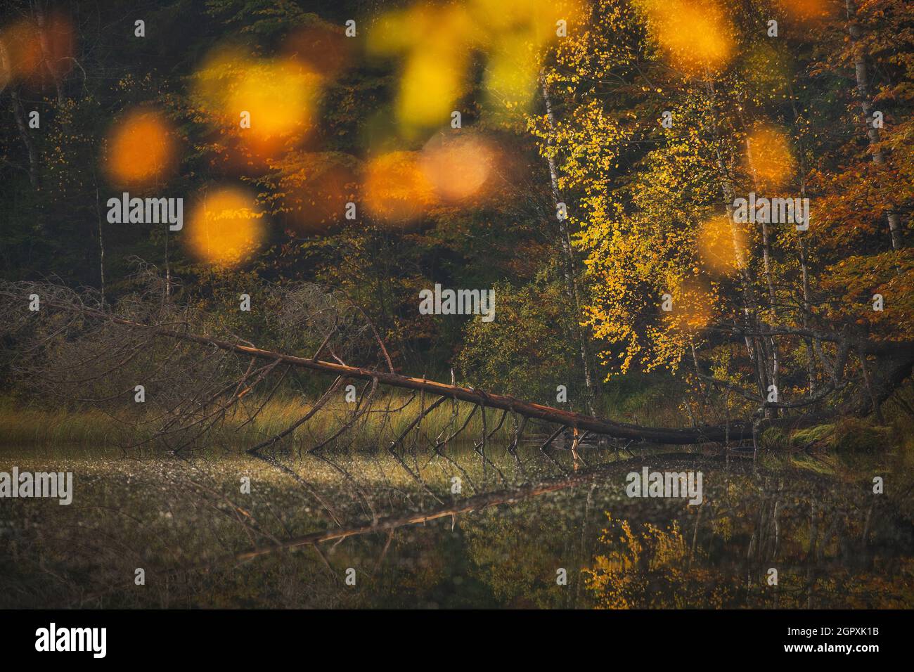 Sfanta ana lake hi-res stock photography and images - Alamy