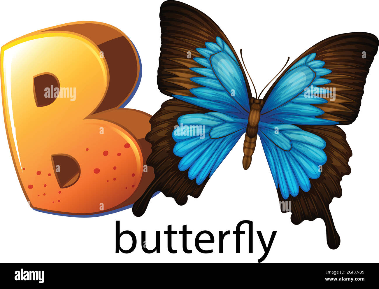 True b Cut Out Stock Images & Pictures - Alamy