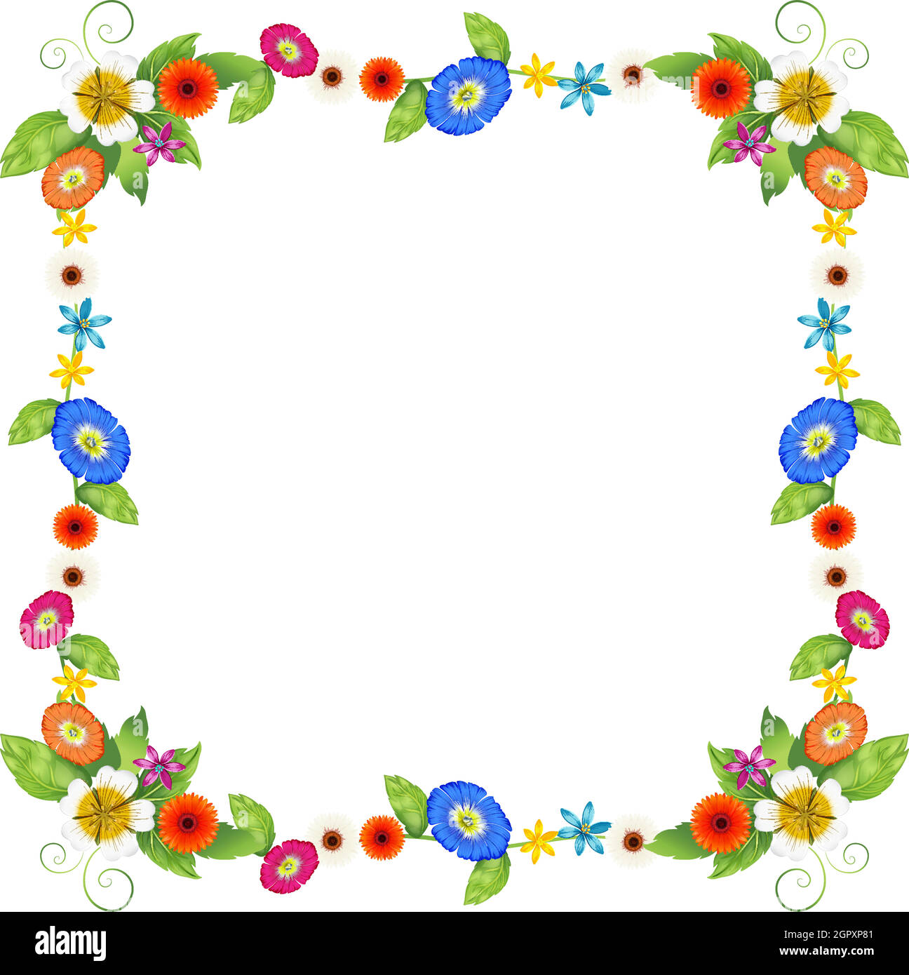 A colourful border design Stock Vector Image & Art - Alamy