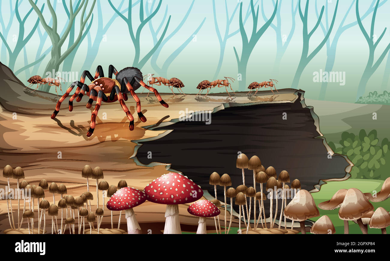 Jungle ants Stock Vector Images - Alamy