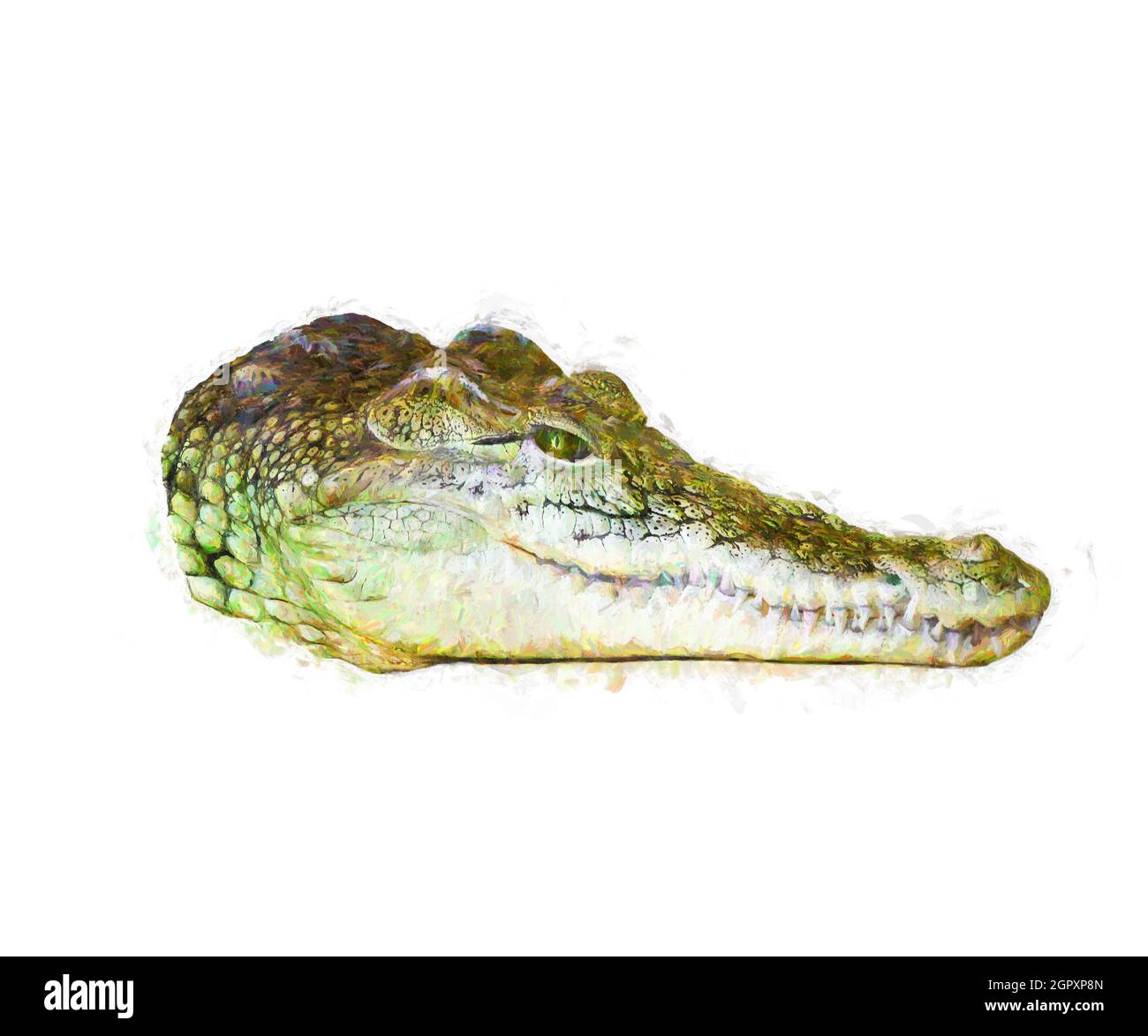 Realistic Crocodile Drawing