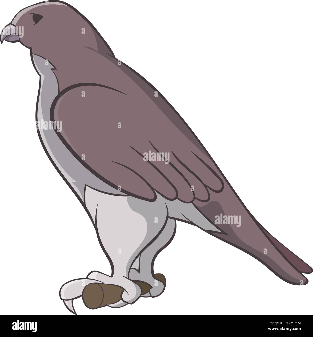 Cartoon Falcon
