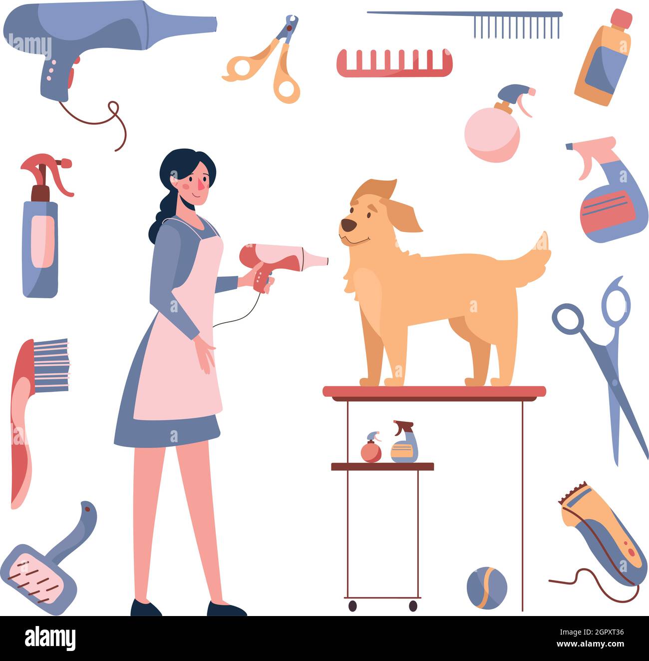 The woman dries the dog with a hairdryer. Dog grooming. Vector ...