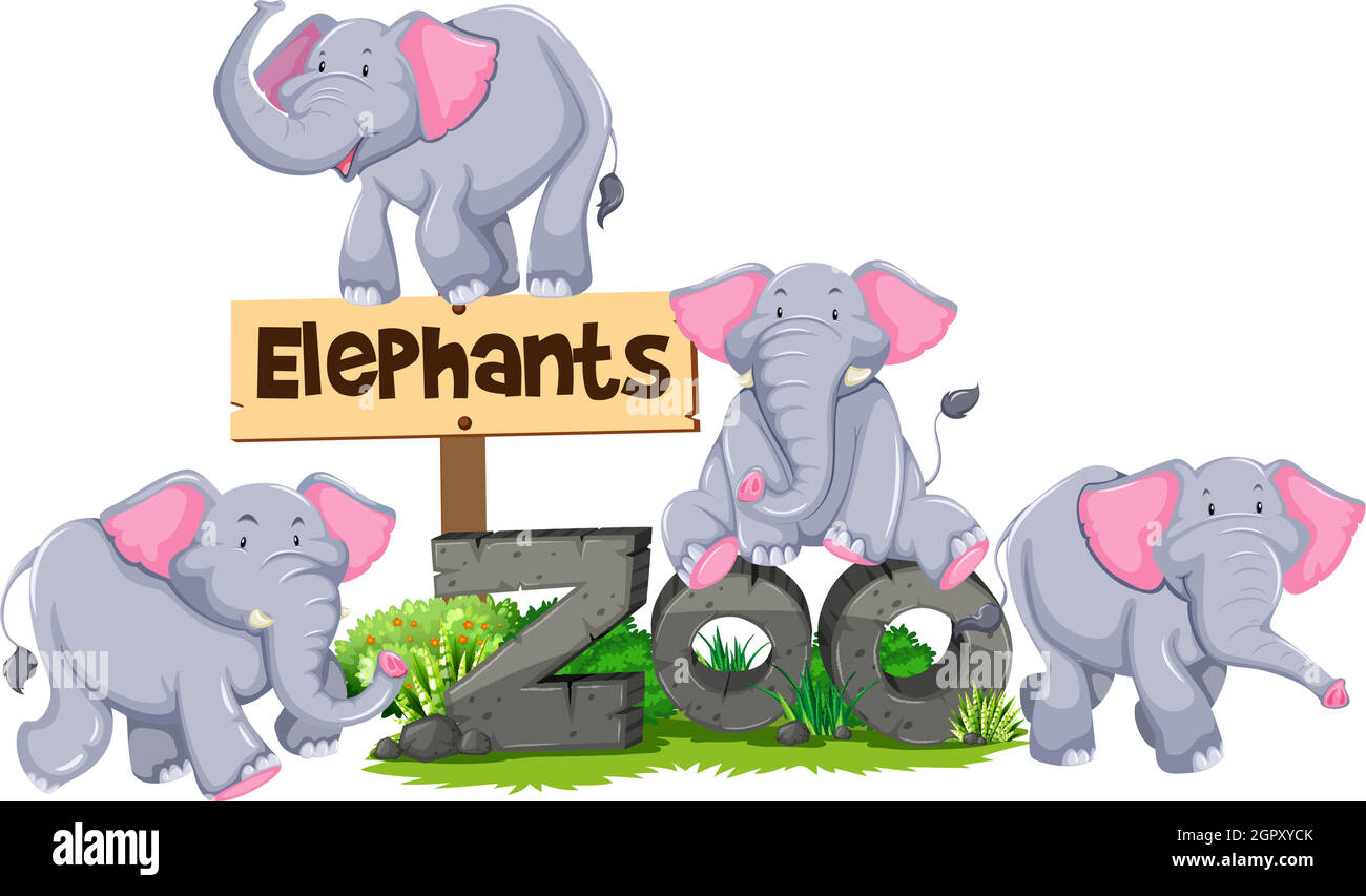 Elephants around the zoo sign Stock Vector Image & Art - Alamy