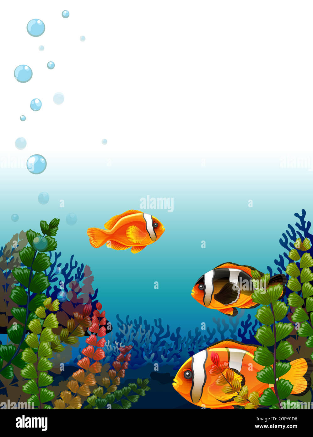 Fishworld hi-res stock photography and images - Alamy