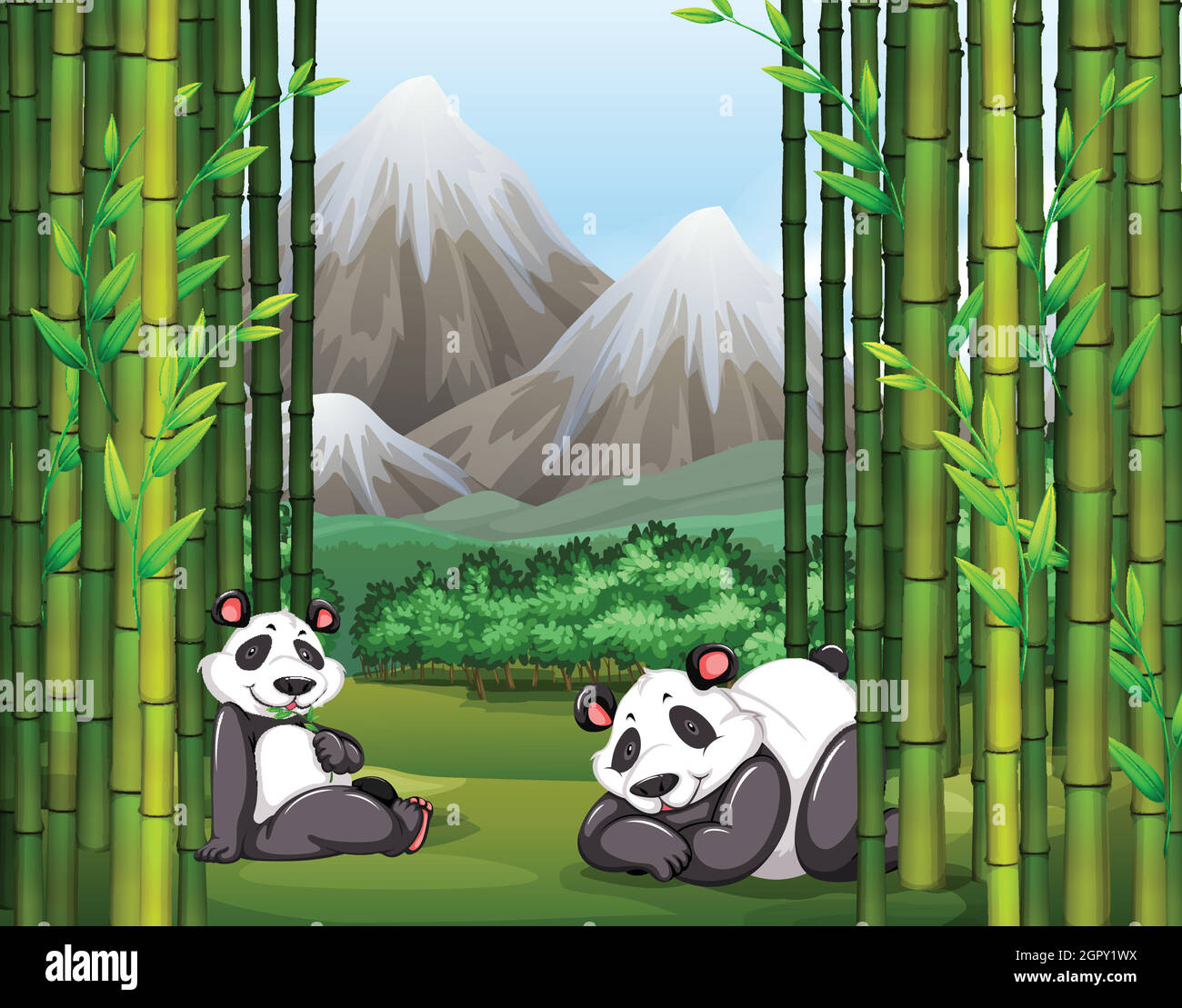 Pandas In Bamboo Forests