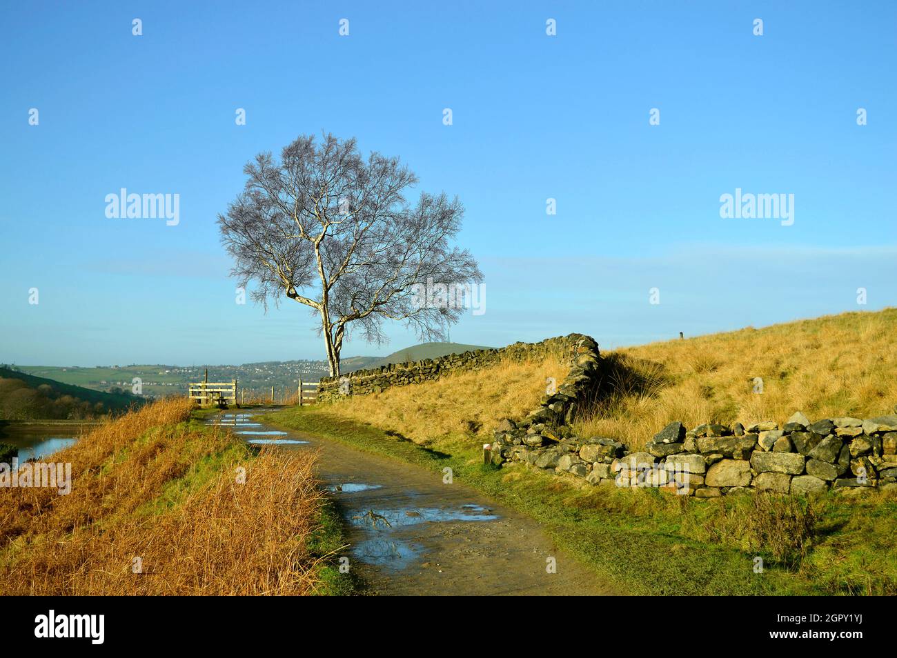 Dovestone national park hi-res stock photography and images - Alamy