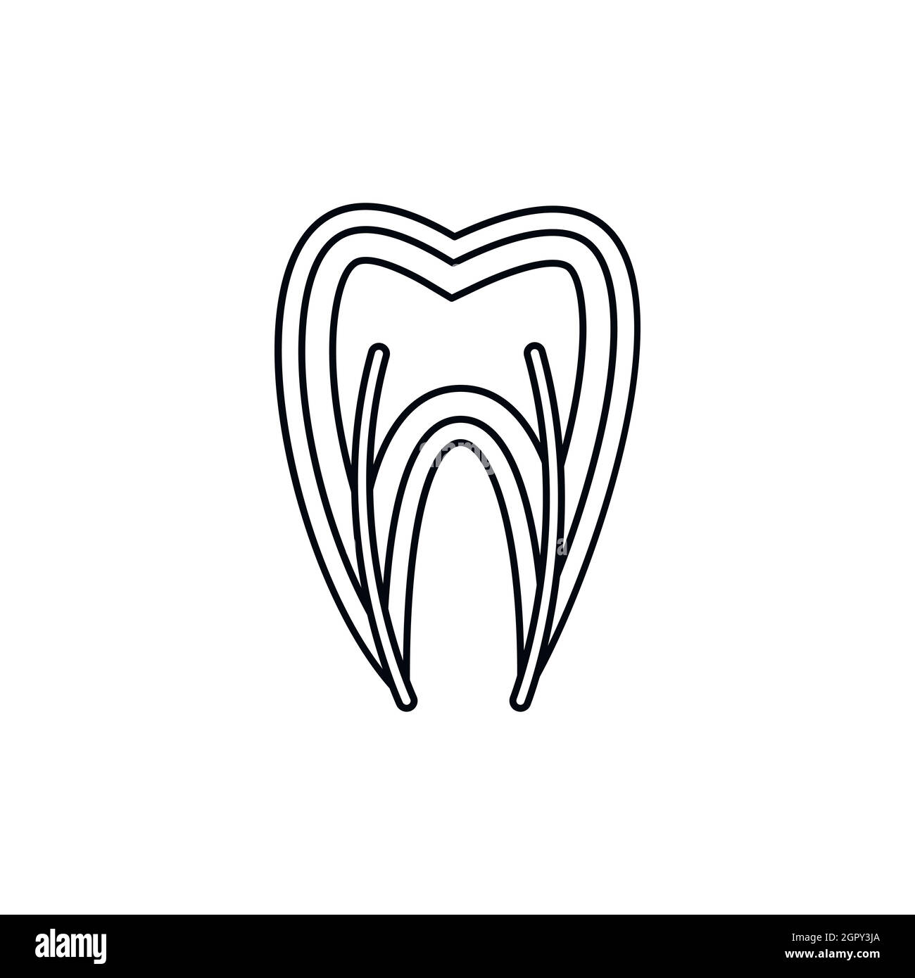 Molar Tooth Cross Section High Resolution Stock Photography and Images ...