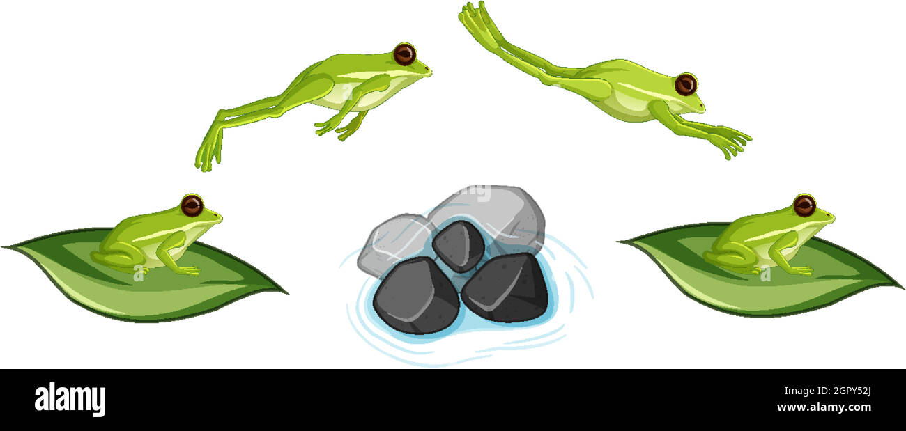 Animated Frogs Jumping