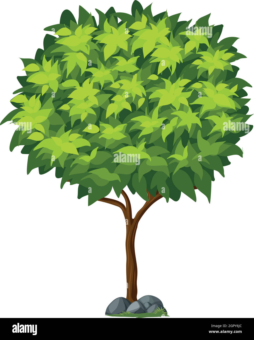 Isolated tree on white background Stock Vector Image & Art - Alamy