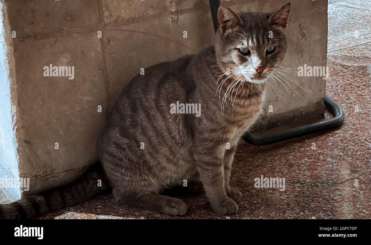 Jordan grey hi-res stock photography and images - Alamy