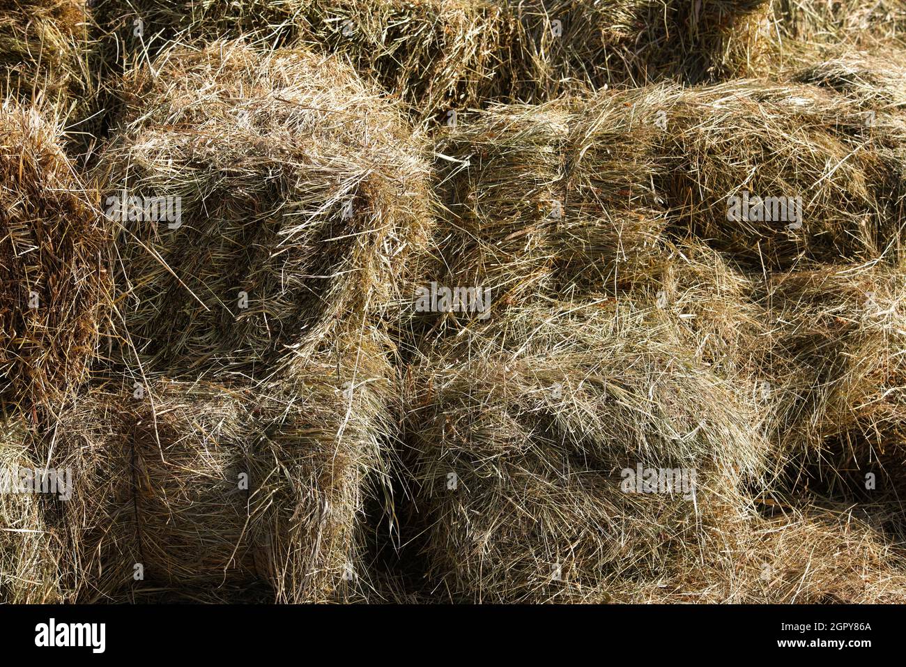 full frame close-up view of rectangular hay stacks Stock Photo - Alamy