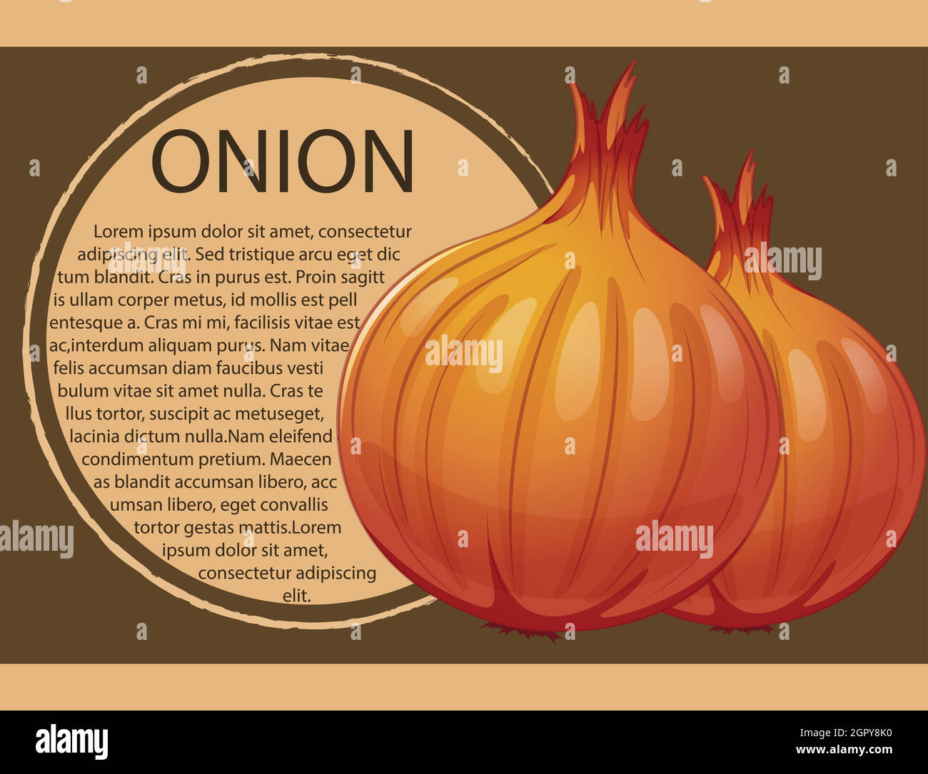 Infographic design with fresh onions Stock Vector Image & Art - Alamy
