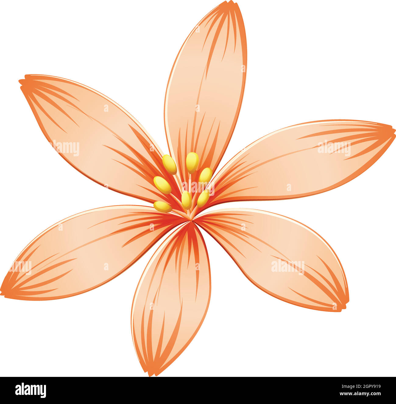 Five petal flower graphic hi-res stock photography and images - Alamy