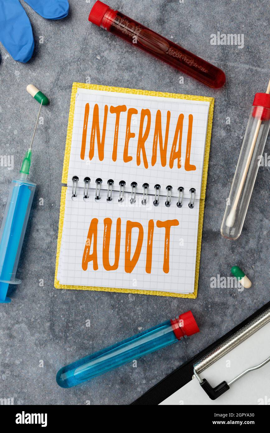 Hand writing sign Internal Audit. Business showcase Evaluates the ...