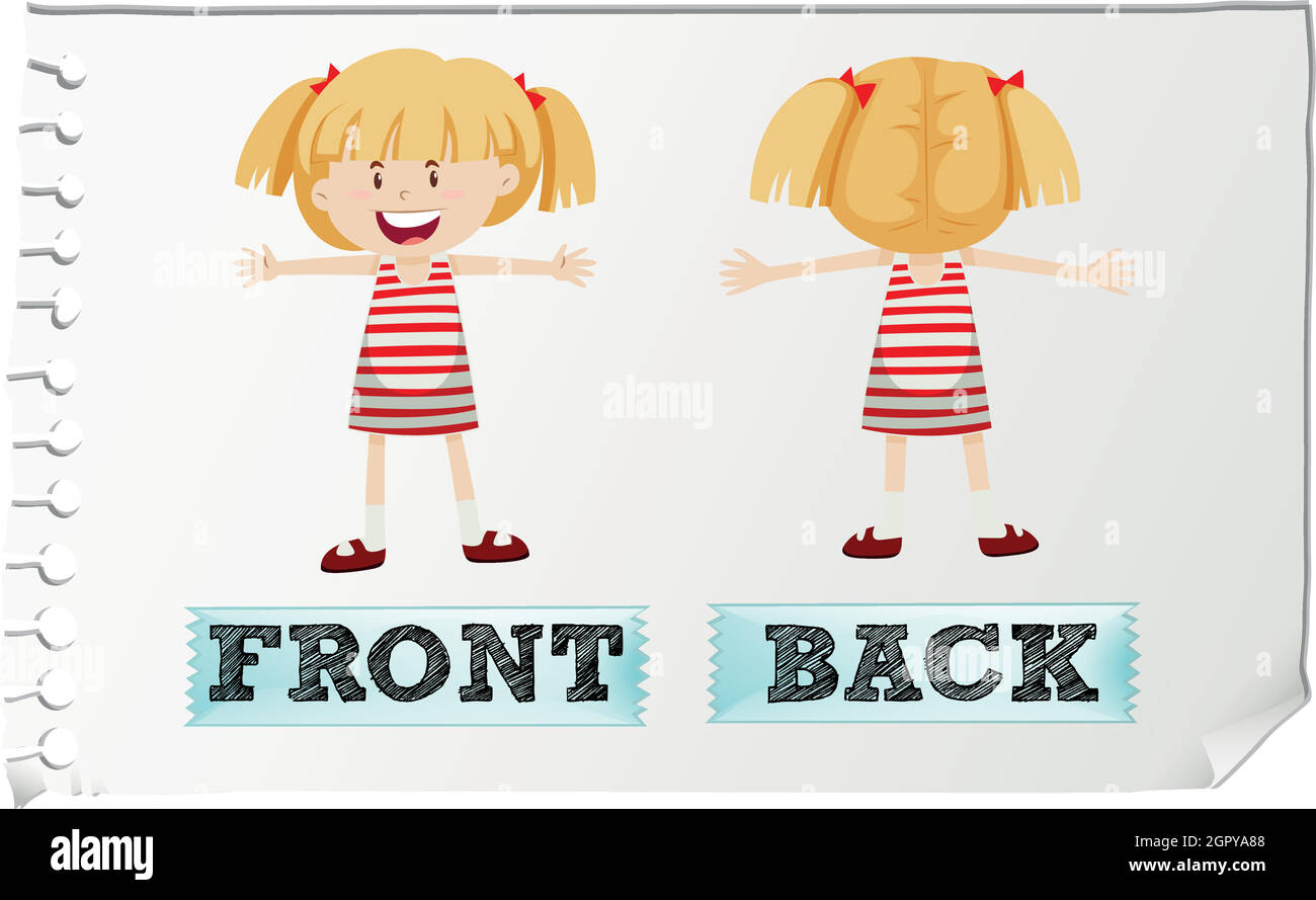 Opposite adjectives front and back Stock Vector Image & Art - Alamy