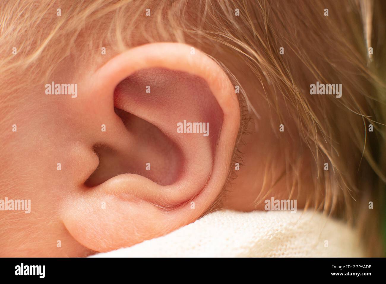 Body Hair Of A Newborn Baby. Fluff. Ear Close Up Stock Photo - Alamy